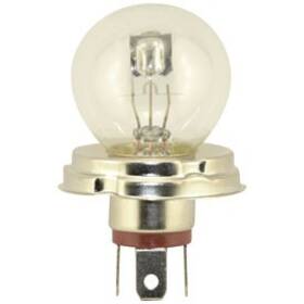 BULBSANDBATTERIES PLUS-4 Bulb Light Lamp Morgan
