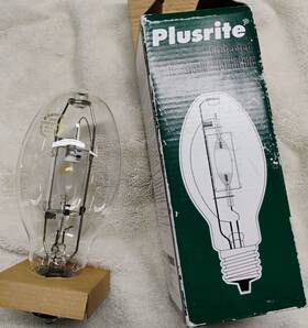 PLUSRITE MP320-ED28-PS-BU-4K Bulbs Halide Pulse Start
